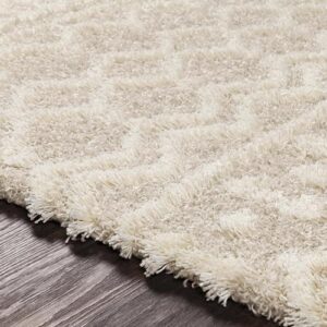 Livabliss Hapsburg Moroccan Shag Area Rug, 5'3" x 7'3", Beige