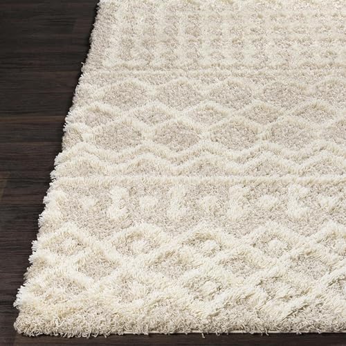 Livabliss Hapsburg Moroccan Shag Area Rug, 5'3" x 7'3", Beige