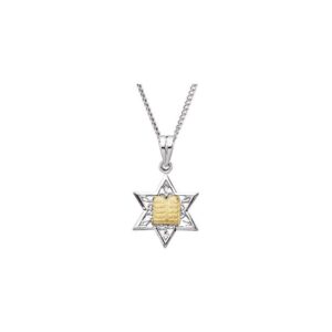 diamond jewelry ny sterling silver & 14k yellow gold 19.92x14.9mm star of david pendant