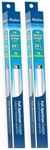 aqueon 2 pack of full-spectrum daylight t8 fluorescent lamp,glass 17-watt, 24-inch