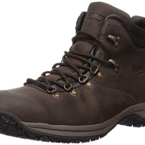 Dunham Men's Ludlow PT Boot Hiking, Brown, 8.5 Medium