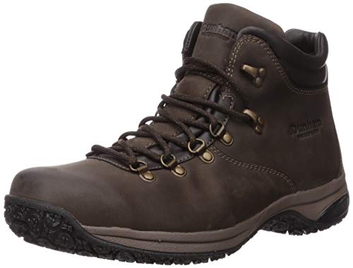 Dunham Men's Ludlow PT Boot Hiking, Brown, 8.5 Medium