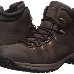 Dunham Men's Ludlow PT Boot Hiking, Brown, 8.5 Medium