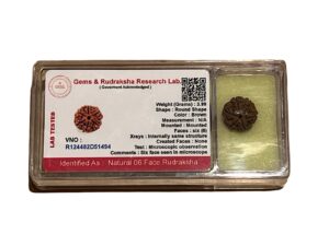 certified 5 mukhi (five faces) rudraksha bead - sagittarius sun sign - throat chakra