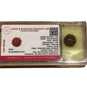 Certified 5 Mukhi (Five Faces) Rudraksha Bead - Sagittarius Sun Sign - Throat Chakra