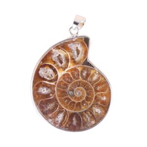 cxd-gem spiral natural ammonite shell fossil pendant with sliver wrapped handmade edge for women jewelry gift