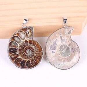 CXD-GEM Spiral Natural Ammonite Shell Fossil Pendant with Sliver Wrapped Handmade Edge for Women Jewelry Gift