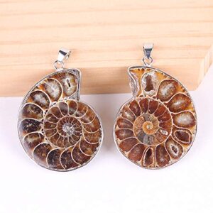 CXD-GEM Spiral Natural Ammonite Shell Fossil Pendant with Sliver Wrapped Handmade Edge for Women Jewelry Gift