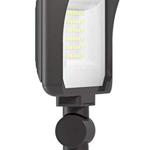 RAB X34-25L/120 General Purpose LED Floodlight, 120V, 5000K, Multi