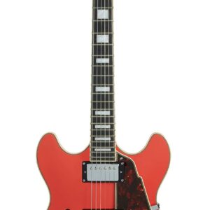 D'Angelico 6 String Semi-Hollow-Body Electric Guitar, Right (DAPDCFRCTCB)