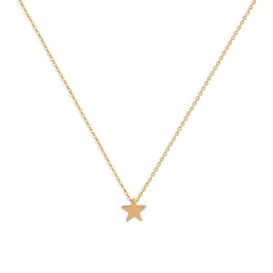 valloey rover gold star necklace,dainty 14k gold plated sterling silver round dot tiny heart little star cz choker necklace jewelry gift for women(nck-gold-star)