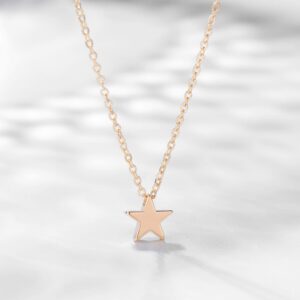 Valloey Rover Gold Star Necklace,Dainty 14K Gold Plated Sterling Silver Round Dot Tiny Heart Little Star CZ Choker Necklace Jewelry Gift for Women(NCK-Gold-star)