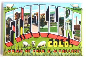 greetings from fort collins colorado fridge magnet (2.5 x 3.5 inches) style b