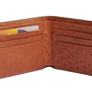 Rodomus Men's Genuine Ostrich Skin Leather Wallet - RFID blocking Brown