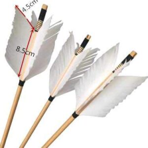 PG1ARCHERY Archery Target Flu-Flu Arrows, 6 Pack Traditional Wooden Arrow 4 Feathers Fletching for Practice Targeting Hunting White 2