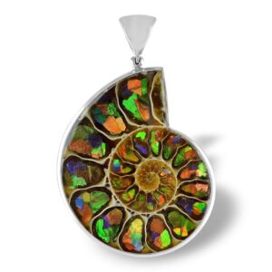 starborn sterling silver ammonite with ammolite inlay pendant