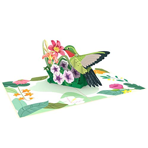 Liif Hummingbird Mother's Day 3D Greeting Pop Up Card Card For All Occasions, Father's Day, Happy Birthday, Anniversary, Retirement, Thinking Of You, Get Well, Hummingbird Gifts For Women, Bird Lover