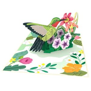 Liif Hummingbird Mother's Day 3D Greeting Pop Up Card Card For All Occasions, Father's Day, Happy Birthday, Anniversary, Retirement, Thinking Of You, Get Well, Hummingbird Gifts For Women, Bird Lover