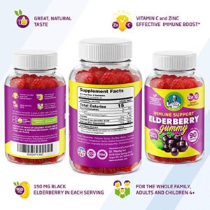 DR. MORITZ Elderberry Gummies for Kids and Toddlers (Elderberry Gummies (Kids & Adults) - 90 Count)