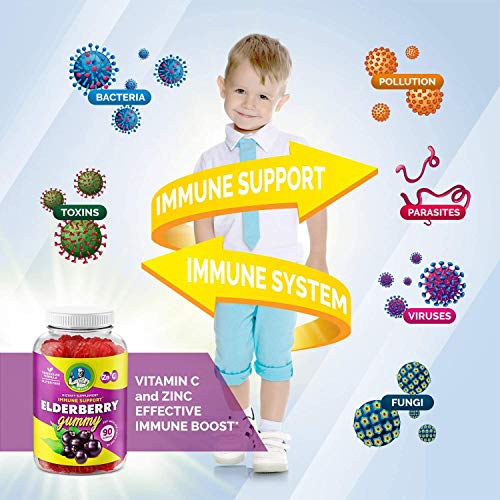 DR. MORITZ Elderberry Gummies for Kids and Toddlers (Elderberry Gummies (Kids & Adults) - 90 Count)