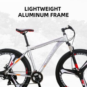 EUROBIKE Mountain Bike，29" Men Mountain Bike, Lightweight Aluminum Frame,Front Suspension Daul Disc Brakes 21 Speed 29 inches Bicycles for Mens Bikes (Silvery)