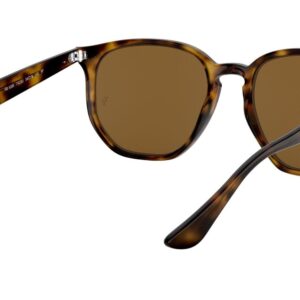 Ray-Ban RB4306 Hexagonal Sunglasses, Light Havana/Polarized Brown, 54 mm