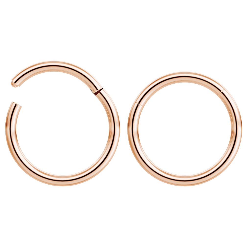 2pc 16g Hinged Clicker Captive Bead Ring Rose Gold 10mm Helix Earring Nose Hoop Rook Cartilage Tragus Lip Septum Forward Eyebrow Ear Lobe Nostril Rings Seamless Surgical Steel