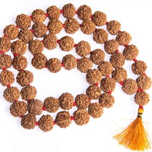 Rudraksha Bracelet