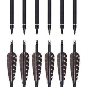 PANDARUS Archery 31-Inch Carbon Hunting Arrows, Turkey Feather Fletching with Replaceable Points, Targeting Practice Arrows Spine 500 for Recurve bow, Longbow, Traditional bow (Black flower)