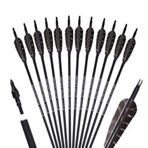 PANDARUS Archery 31-Inch Carbon Hunting Arrows, Turkey Feather Fletching with Replaceable Points, Targeting Practice Arrows Spine 500 for Recurve bow, Longbow, Traditional bow (Black flower)