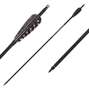 PANDARUS Archery 31-Inch Carbon Hunting Arrows, Turkey Feather Fletching with Replaceable Points, Targeting Practice Arrows Spine 500 for Recurve bow, Longbow, Traditional bow (Black flower)