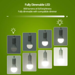 DEWENWILS 4 Pack A19 Dimmable LED Light Bulbs,10-Watt(60W Equivalent), 800 Lumen, 5000K Daylight Dimmable Bulb, E26 Base Light Bulb, UL Listed