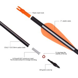 28Inch Carbon Arrow Practice Hunting Arrows Targeting with Removable Tips for Archery Compound & Recurve & Traditional Bow (Pack of 12)