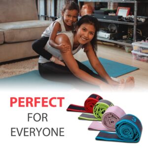 Fitter’s Niche Exercise Resistant Stretch Band, High Elastic Multi-Level Stretching Strap, Ideal for Tone Muscles Physical Therapy Gym Recovery Dancing Flexibility Hamstring,Bonus Carry Bag and E-book