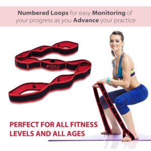 Fitter’s Niche Exercise Resistant Stretch Band, High Elastic Multi-Level Stretching Strap, Ideal for Tone Muscles Physical Therapy Gym Recovery Dancing Flexibility Hamstring,Bonus Carry Bag and E-book