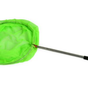 RESTCLOUD Bait Net and Fishing Landing Net with Telescoping Pole Handle Extends to 59 inches (Green)