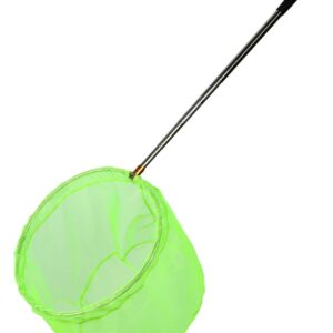 RESTCLOUD Bait Net and Fishing Landing Net with Telescoping Pole Handle Extends to 59 inches (Green)