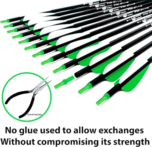 KESHES Archery Carbon Arrows for Compound & Recurve Bows - 30 inch Youth Kids and Adult Target Practice Bow Arrow - Removable Nock & Tips Points (12 Pack)