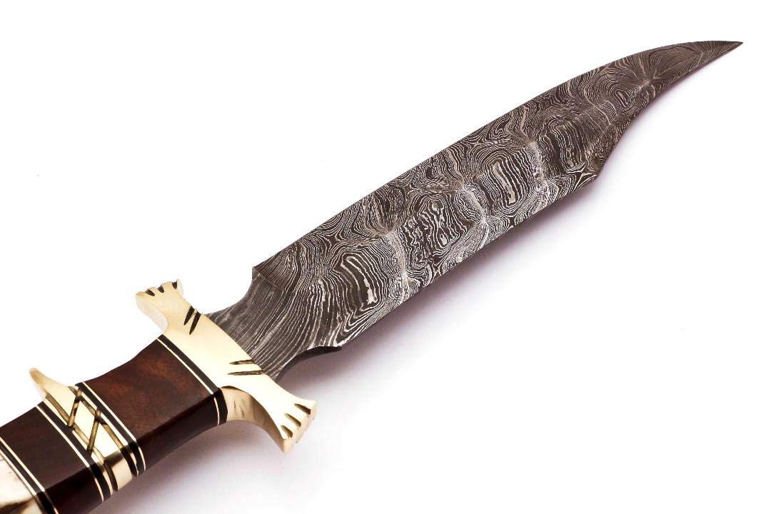 Skokie Knives Damascus Steel hunting Knife Stag Antler Handle with Burl Wood & Brass Guard –15” Handmade Premium Quality Sharp Edge Fix Blade - Genuine Multipurpose Knife – Ideal for Hunting, Camping