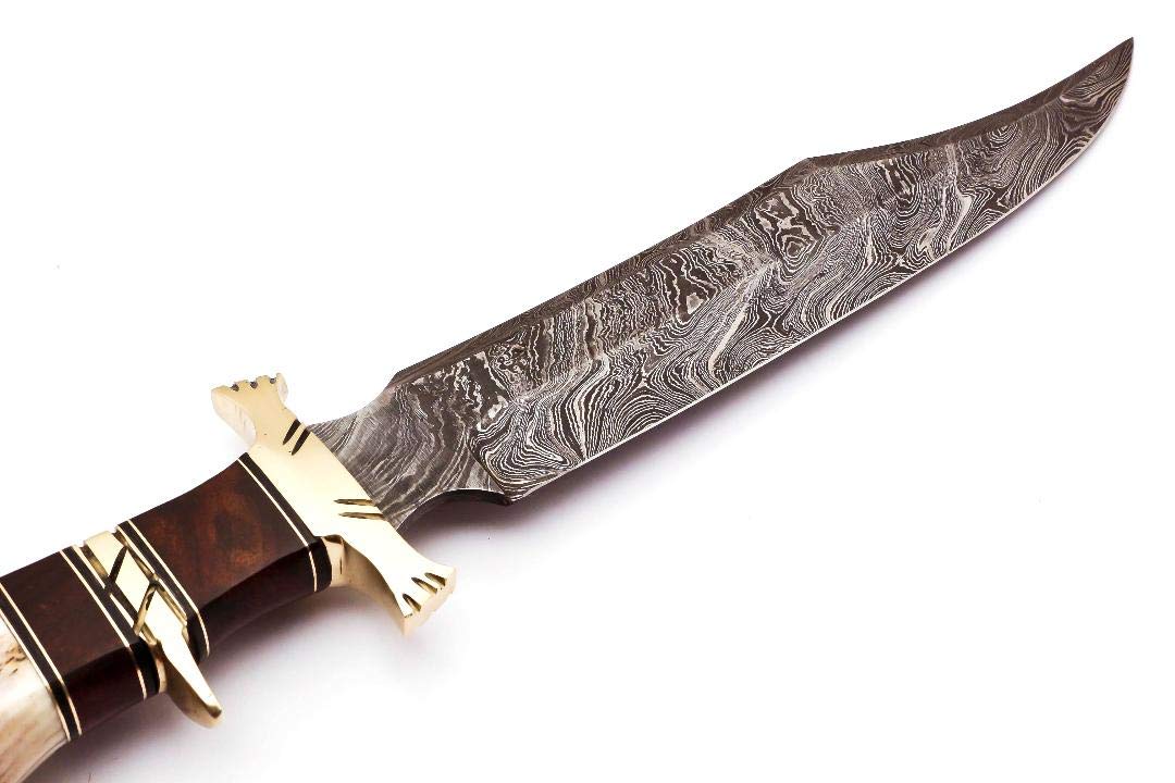 Skokie Knives Damascus Steel hunting Knife Stag Antler Handle with Burl Wood & Brass Guard –15” Handmade Premium Quality Sharp Edge Fix Blade - Genuine Multipurpose Knife – Ideal for Hunting, Camping