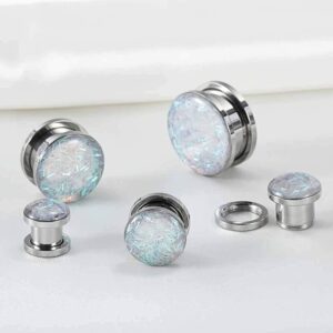 TBOSEN 6 PCS Big Cubic Zirconia Stainless Steel Screw Ear Gauges Plugs Tunnels Expander Body Piercing Jewelry Set