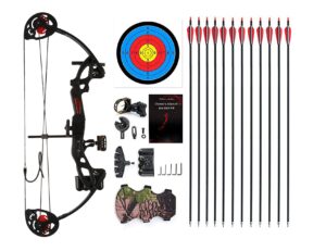 pandarus compound bow archery for youth and beginner, right handed,19”-28” draw length,15-29 lbs draw weight, 260 fps (black right handed)