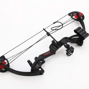 PANDARUS Compound Bow Archery for Youth and Beginner, Right Handed,19”-28” Draw Length,15-29 Lbs Draw Weight, 260 fps (Black Right Handed)