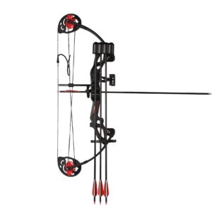 PANDARUS Compound Bow Archery for Youth and Beginner, Right Handed,19”-28” Draw Length,15-29 Lbs Draw Weight, 260 fps (Black Right Handed)