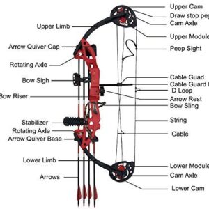 PANDARUS Compound Bow Archery for Youth and Beginner, Right Handed,19”-28” Draw Length,15-29 Lbs Draw Weight, 260 fps (Black Right Handed)