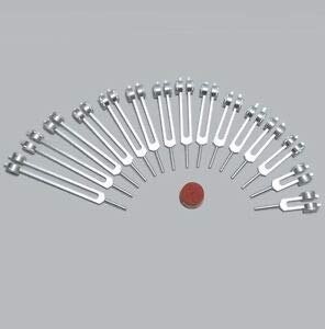 human organ tuning fork set