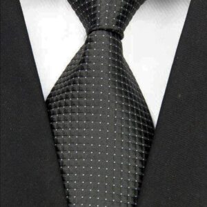 Wehug Lot 6 PCS Men's Tie Silk Tie Woven Necktie Jacquard Neck Ties Classic Ties For Men style030