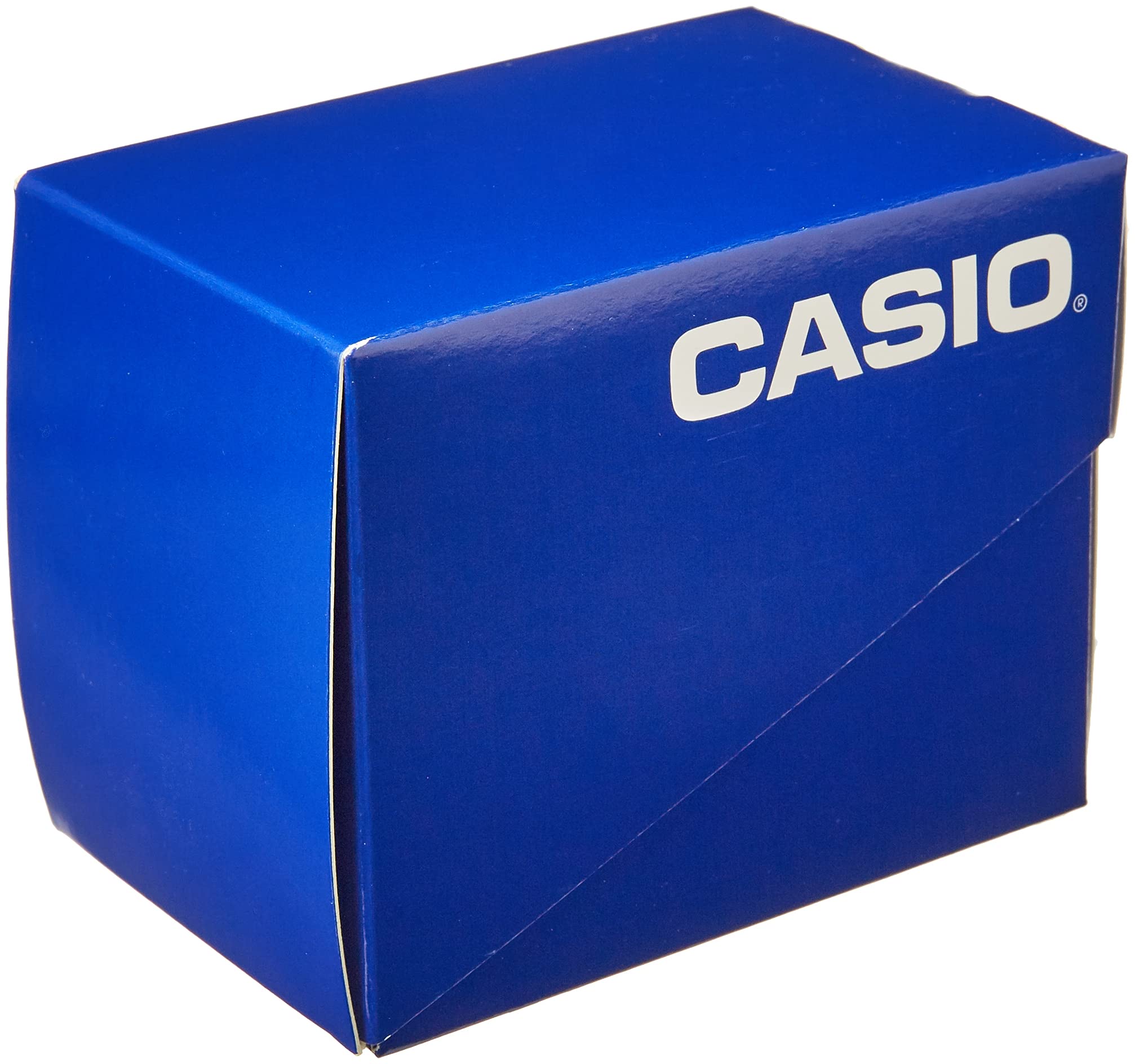 Casio 10 Year Battery