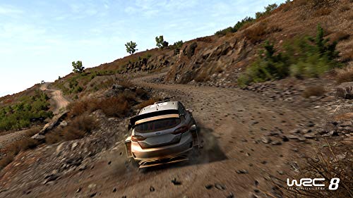 WRC 8: FIA World Rally Championship (NSW)