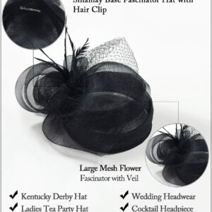 Z&X Sinamay Fascinator Pillbox Hats for Women Wedding Tea Party Mesh Flower Church Hat with Clip Black